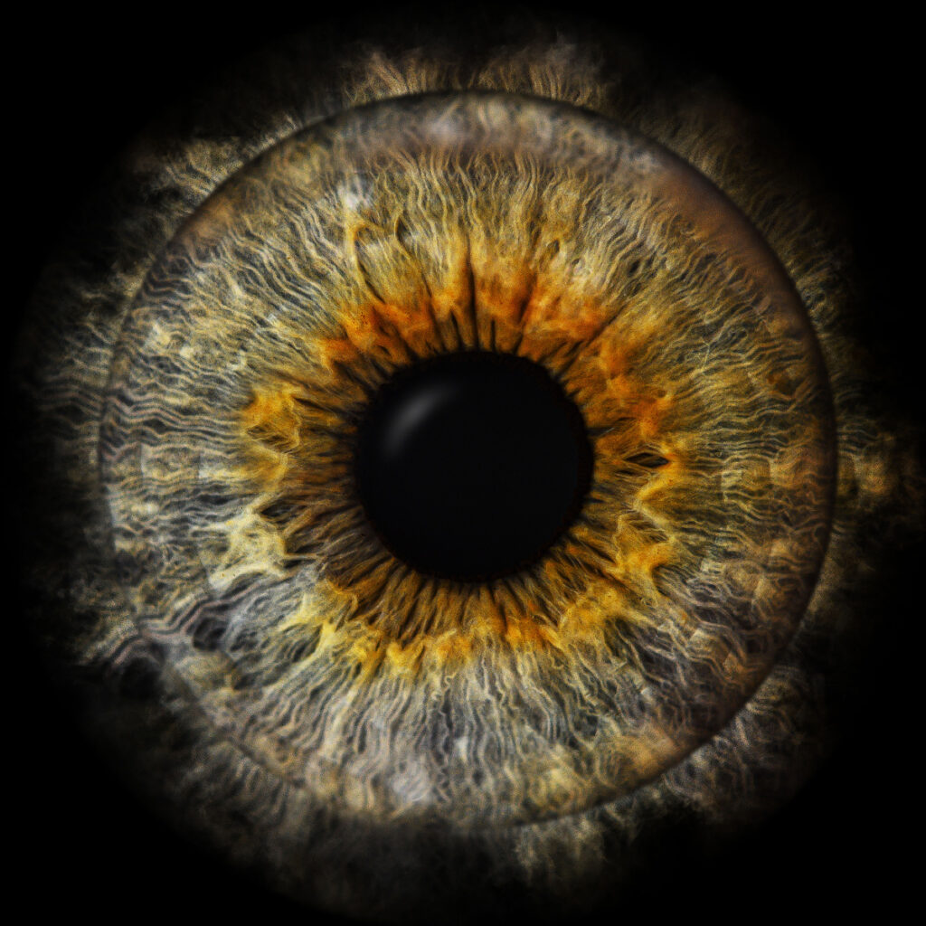 Iriswelten - Kunstwerke aus deiner Iris - Irisfotografie